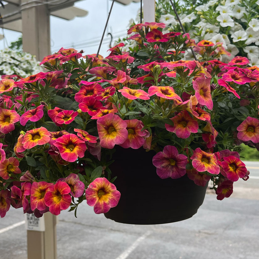 Zadlock Garden & Landscape Supply in Califon, NJ
