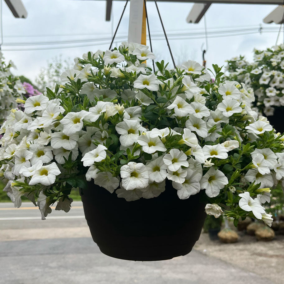 Zadlock Garden & Landscape Supply in Califon, NJ