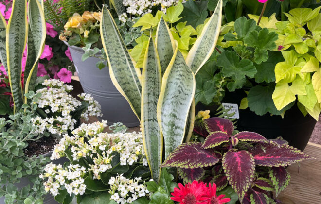Zadlock Garden & Landscape Supply in Califon, NJ